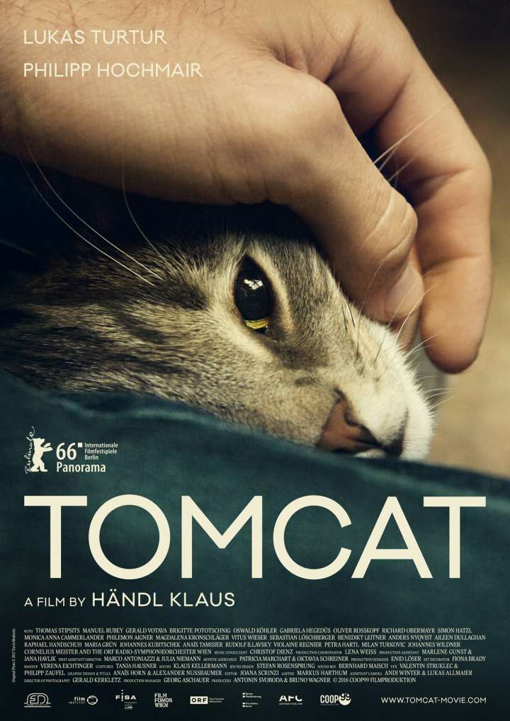 Tomcat poster | Unseenthaisub.com